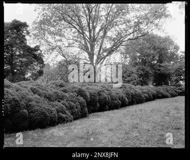 Upper Brandon, Prince George County, Virginia. Carnegie Survey of the ...