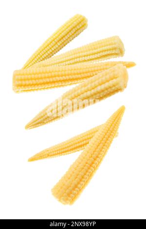 Tasty baby corn cobs flying on white background Stock Photo - Alamy
