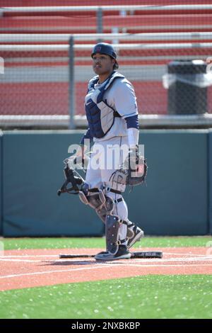 University of Connecticut Huskies catcher Thad Phillips (30) during ...