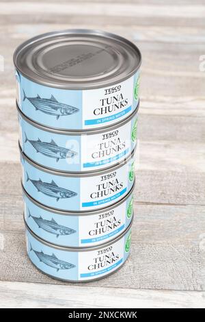 Cans of tinned Tesco Tuna chunks on a kitchen table. For UK food ...