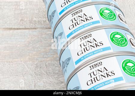 Stacked cans of tinned Tesco Tuna chunks on a kitchen table. For UK ...