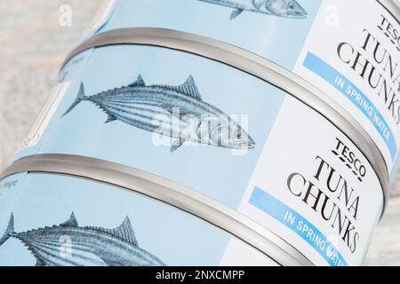Cans of tinned Tesco Tuna chunks on a kitchen table. For UK food ...