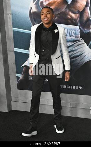 HOLLYWOOD, CALIFORNIA - FEBRUARY 27: Thaddeus J. Mixson attends the Los ...