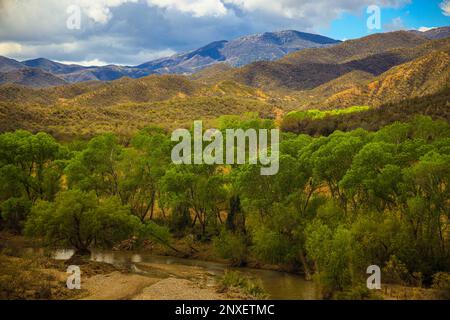 cloudy landscape with trees Alamo de rio or Sicomoro a valley between ...