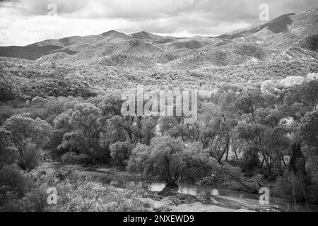 cloudy landscape with trees Alamo de rio or Sicomoro a valley between ...
