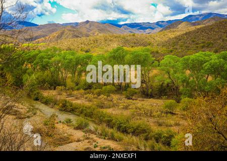 cloudy landscape with trees Alamo de rio or Sicomoro a valley between ...