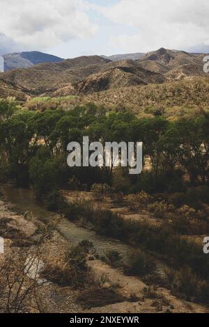 cloudy landscape with trees Alamo de rio or Sicomoro a valley between ...