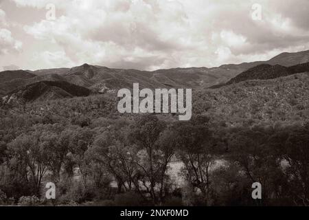 cloudy landscape with trees Alamo de rio or Sicomoro a valley between ...