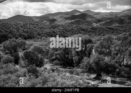 cloudy landscape with trees Alamo de rio or Sicomoro a valley between ...