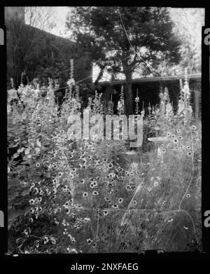 Blandfield, gardens, Caret vic., Essex County, Virginia. Carnegie ...