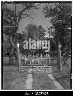 Mt. Custis, Accomack vic., Accomack County, Virginia. Carnegie Survey ...
