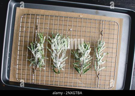 Sugared Rosemary Sprigs Viewed From Above: Herb sprigs covered in ...