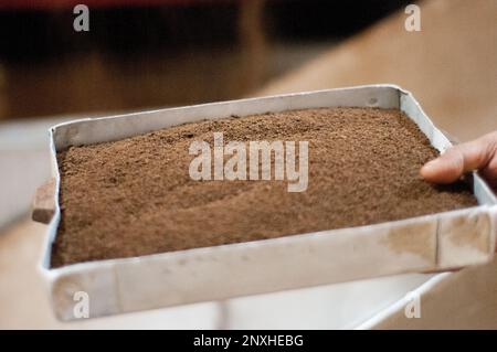 Tea production mill pictures in sylhet, Bangladesh Stock Photo - Alamy