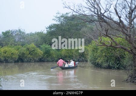 Ratargul natural beauty in Sylhet, Bangladesh Stock Photo - Alamy
