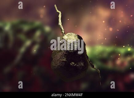 Provora, a predatory eukaryote microbe recently discovered to be a part ...