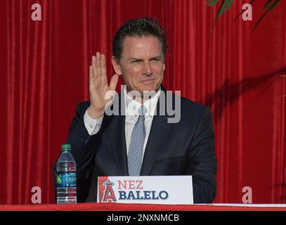 Nez Balelo, an agent for Los Angeles Angels two-way player Shohei ...