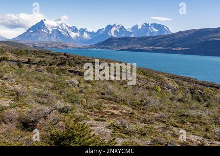 Lake Toro and snowy mountains of Torres del Paine National Park in ...