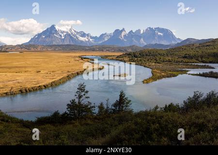 Serrano River, golden pampas and snowy mountains of Torres del Paine ...