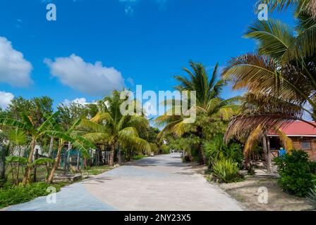 Mahahual, Quintana Roo, Mexico, A cityscape of downtown in Mahahual ...