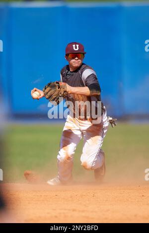 Union Dutchmen second baseman Anthony Amoroso (41) during a game ...