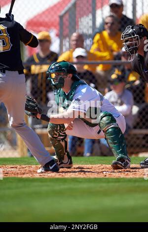 Dartmouth Big Green catcher Adam Gauthier (9) during a game against the ...