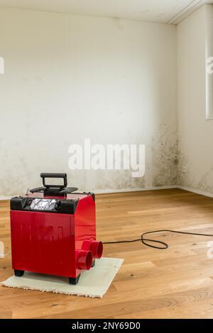 Room dryer, drying device, water damage, mould Stock Photo - Alamy