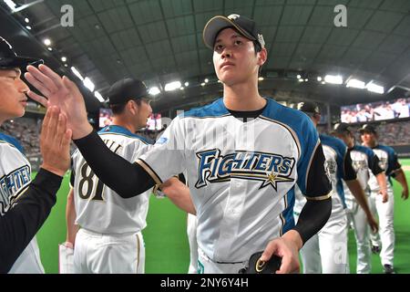 Hokkaido Nippon-Ham Fighters Syohei Otani reacts after pitching a shutout in the 8th inning ...