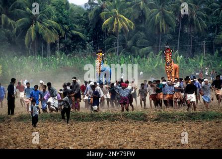 Machatu Mamangam festival in Machatu, Kerala, India, Asia Stock Photo ...