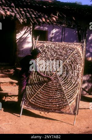 Chandrika, a woman rearing silk worm Cocoons incubated under sun at ...