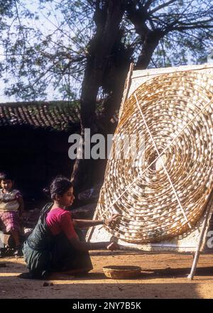 Chandrika, a woman rearing silk worm Cocoons Incubated under sun at ...