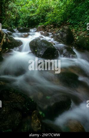 Mountain Spring in Western Ghats, Kerala, South India, India, Asia ...