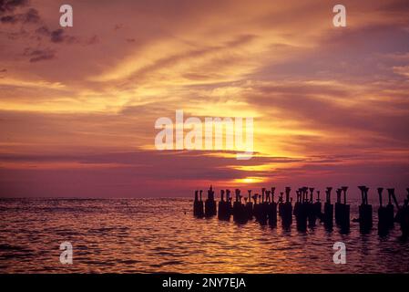 South India. Evening on beach. Idyllic picture. People. Sunset People ...