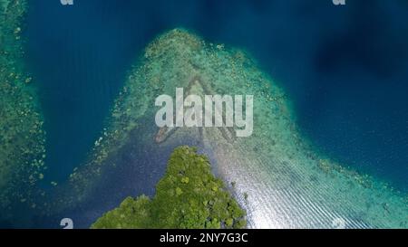 Yap Island, lagoon, traditional fish trap in reef, Yap, Caroline ...