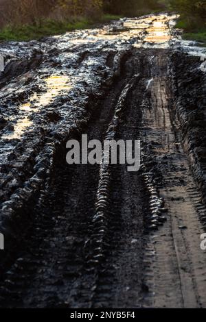 Deep, muddy tire track in the ground, with a blurred greenery ...