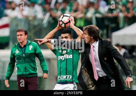 SP - Sao Paulo - 09/08/2017 - Libertadores 2017 - Palmeiras X Barcelona ...