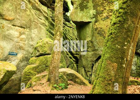 The rock labyrinth on the Mullerthal Trail, Luxembourg Stock Photo - Alamy