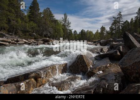 Saltelva rapid in Saltdal community in Nordland Province in Norway ...