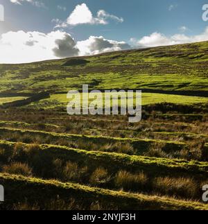 Epiacum Roman Fort - Whitley Castle near Alston Stock Photo - Alamy