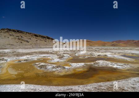 The fumaroles of the Galan Volcano in the Puna Argentina Stock Photo ...