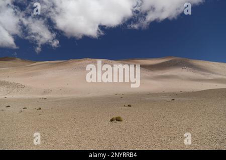 The spectacular colors of the Puna Argentina Stock Photo - Alamy