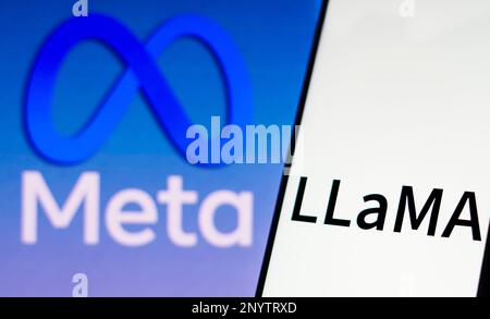 In this photo illustration, the LLaMA (Large Language Model Meta AI ...