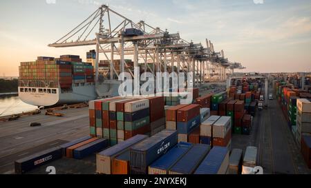 COSCO Development container ship, the largest vessel to call on the ...