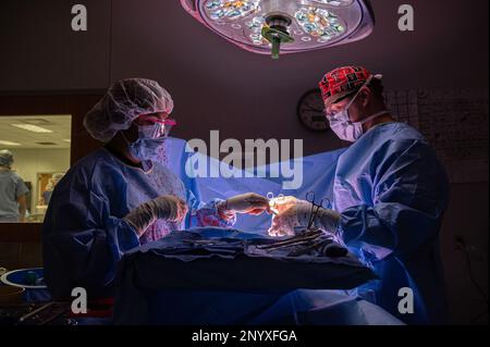 68D operating room specialist students assigned to the U.S. Army ...