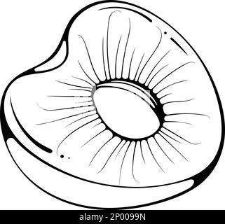 cherry pit sketch hand drawn vector Stock Vector Image & Art - Alamy