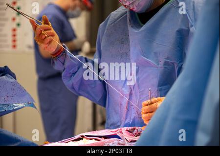 68D operating room specialist students assigned to the U.S. Army ...