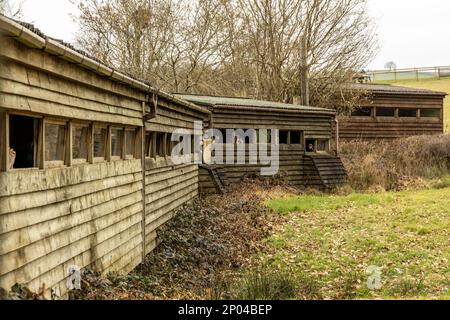 Gigrin Farm Red Kitye feeding station Stock Photo - Alamy