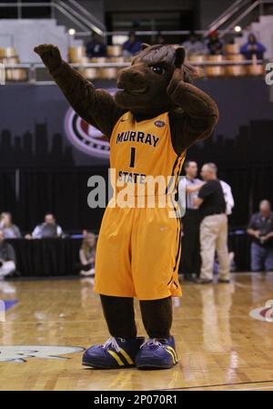 NASHVILLE, TN - MARCH 03: The against the Kentucky Wildcats mascot ...