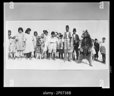 Dancing Bear Istanbul Turkey Stock Photo - Alamy