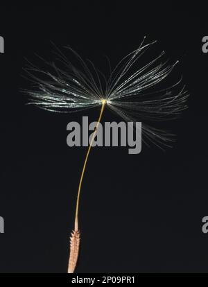 Spring Season 2023 US, GA Stock Photo - Alamy