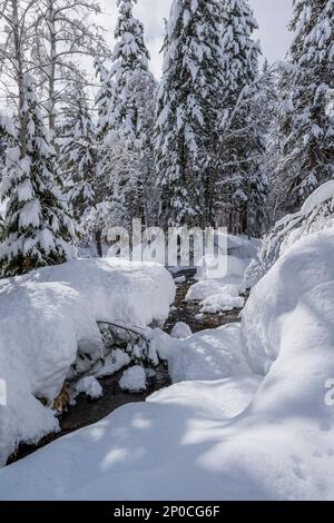 Winter landscape with snowcovered trees at Sundance Resort, also known ...